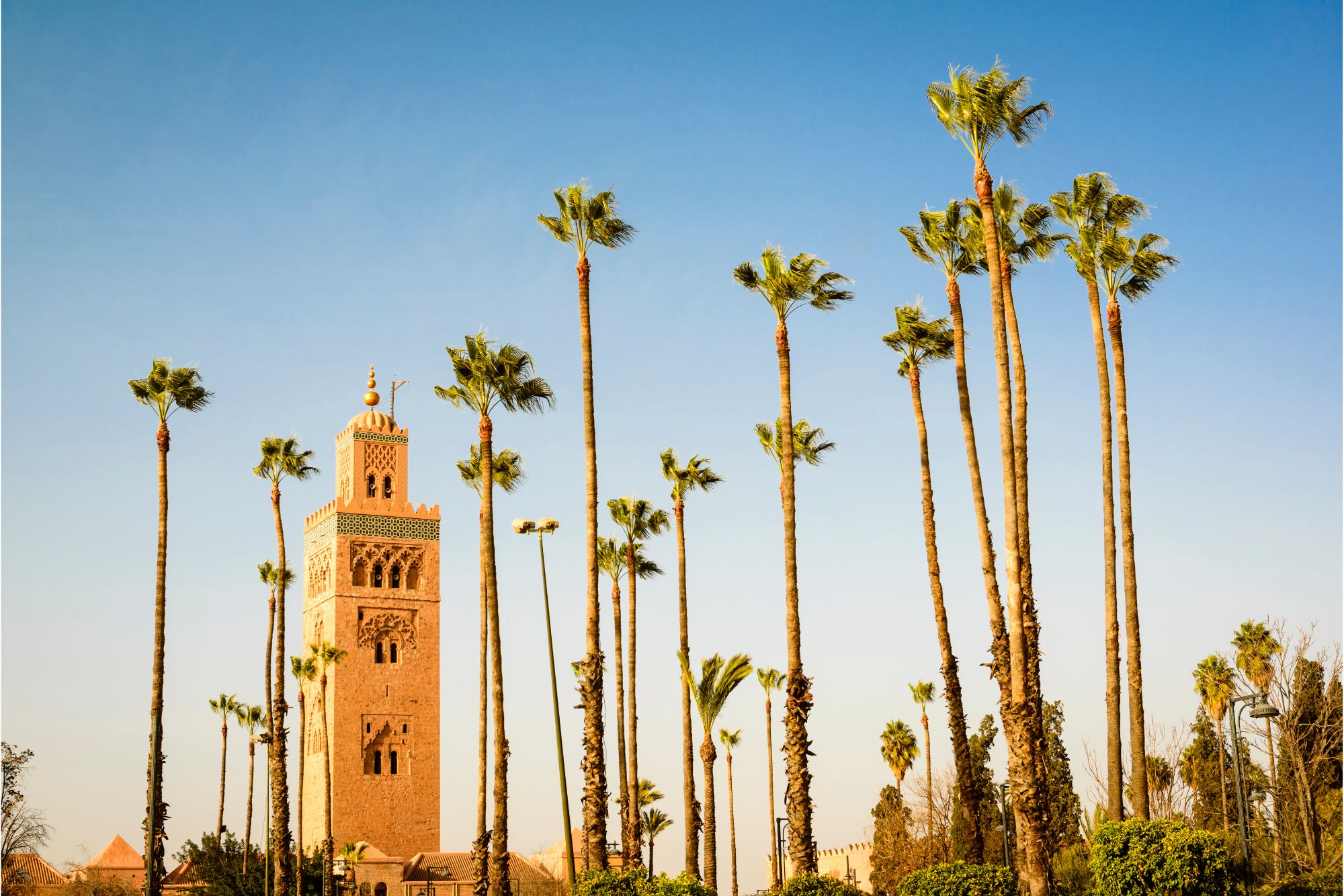 A Comprehensive Guide to Marrakech Weather in March | Imlil Morocco
